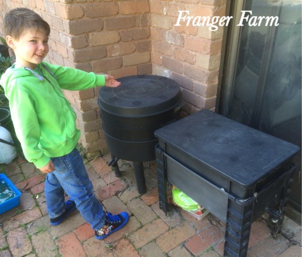 Become a worm farmer! | Franger Farm
