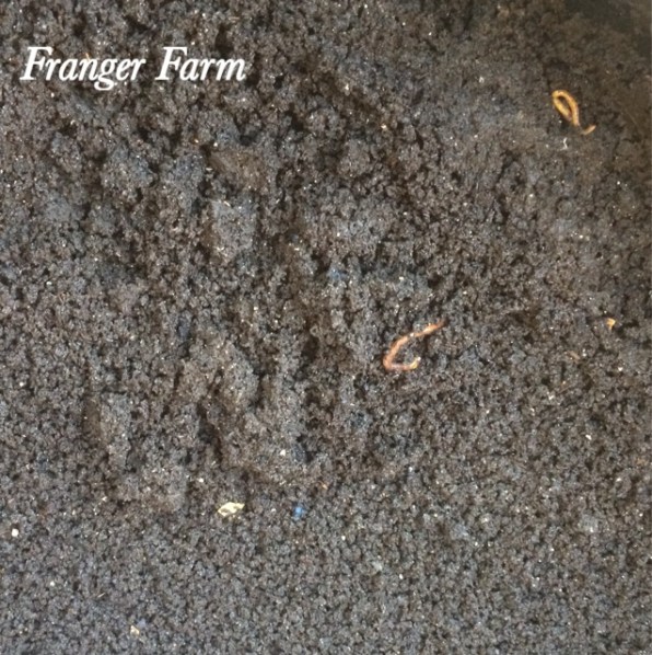 Become a worm farmer! | Franger Farm