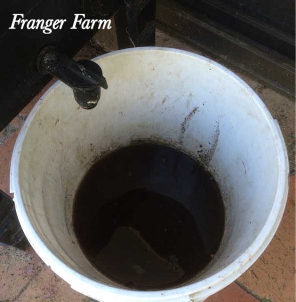 Become a worm farmer! | Franger Farm