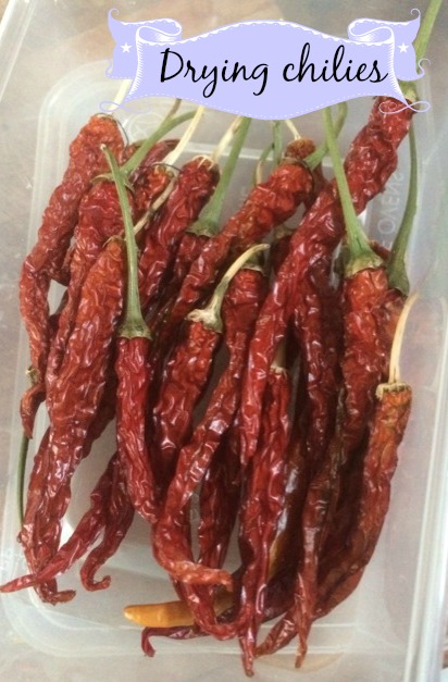 Franger Farm’s easy as pie guide to drying chilies. | Franger Farm