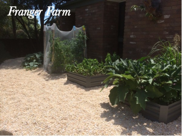 growing fruit and veg | Franger Farm