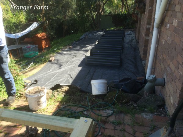 growing fruit and veg | Franger Farm