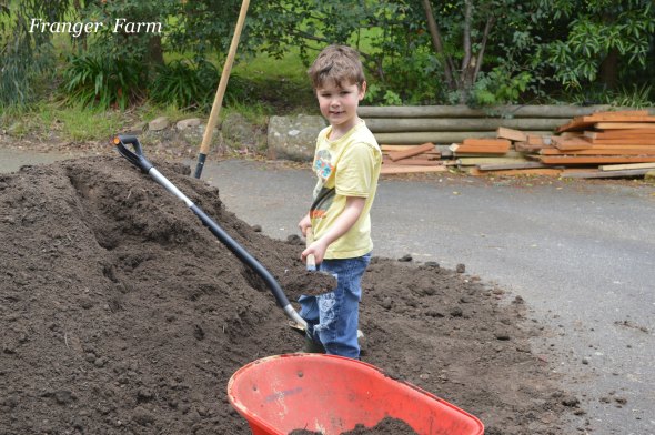 Franger Farm | Feeding a family from a suburban acre block.